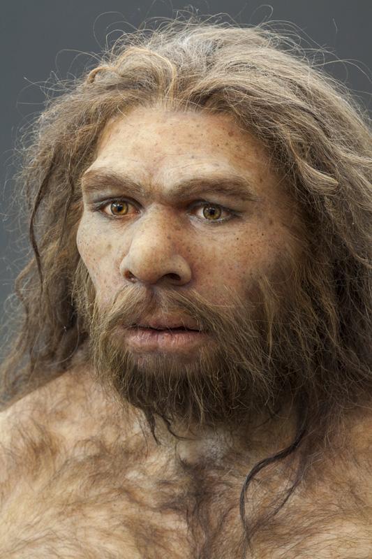 Neandertal, l'Européen | Musée de Préhistoire Île-de-France